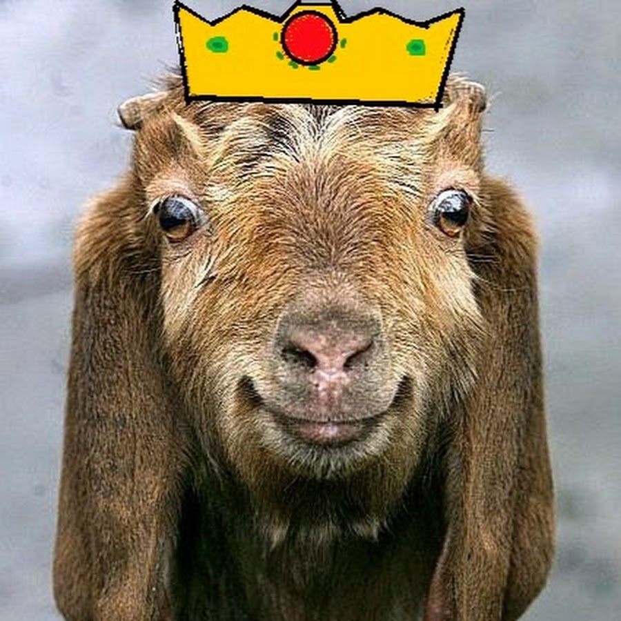 the goat king - YouTube