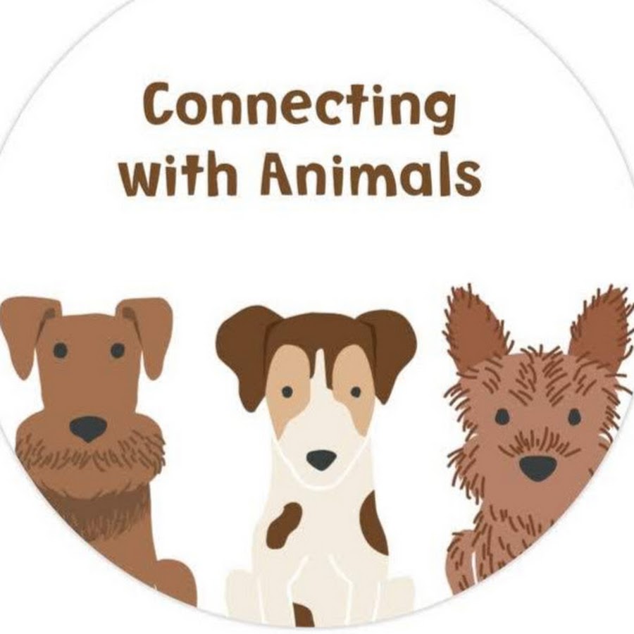 Connecting with Animals - YouTube