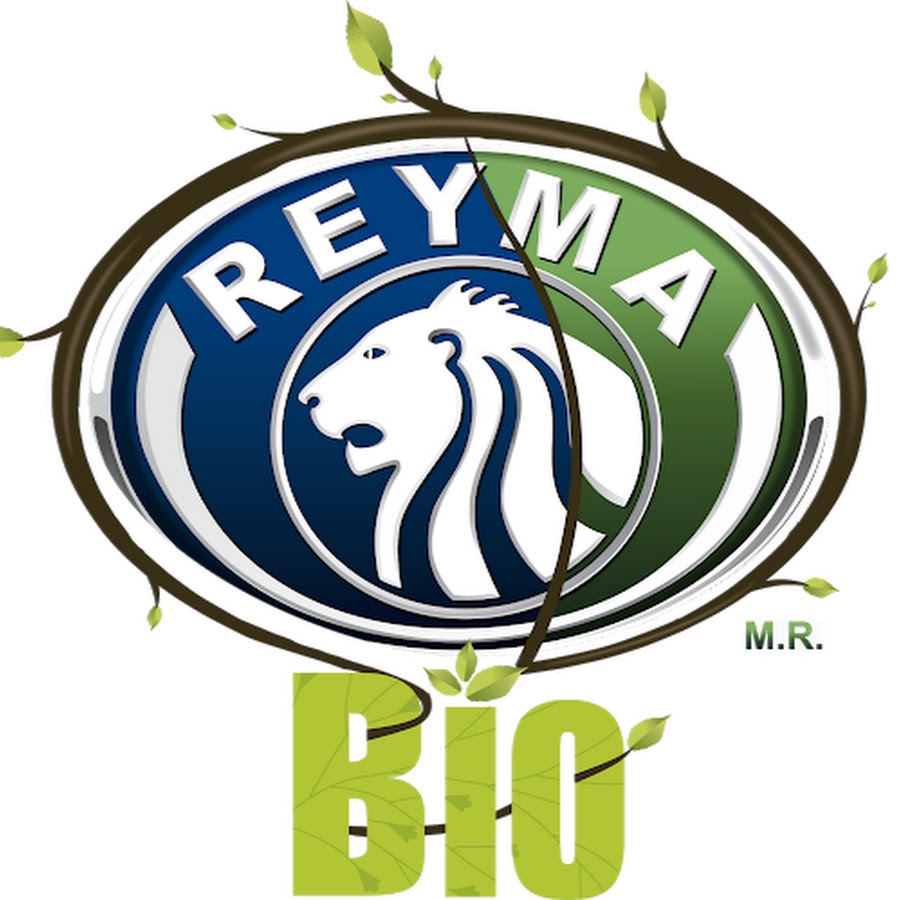 Grupo Reyes - YouTube