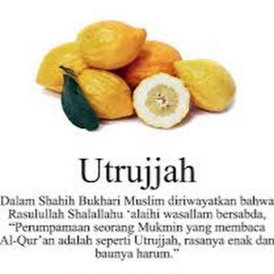 Buah Utrujah - YouTube