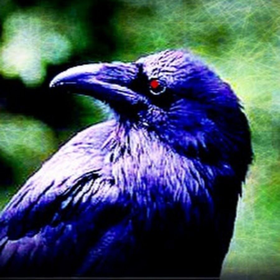 Raven mocker - YouTube