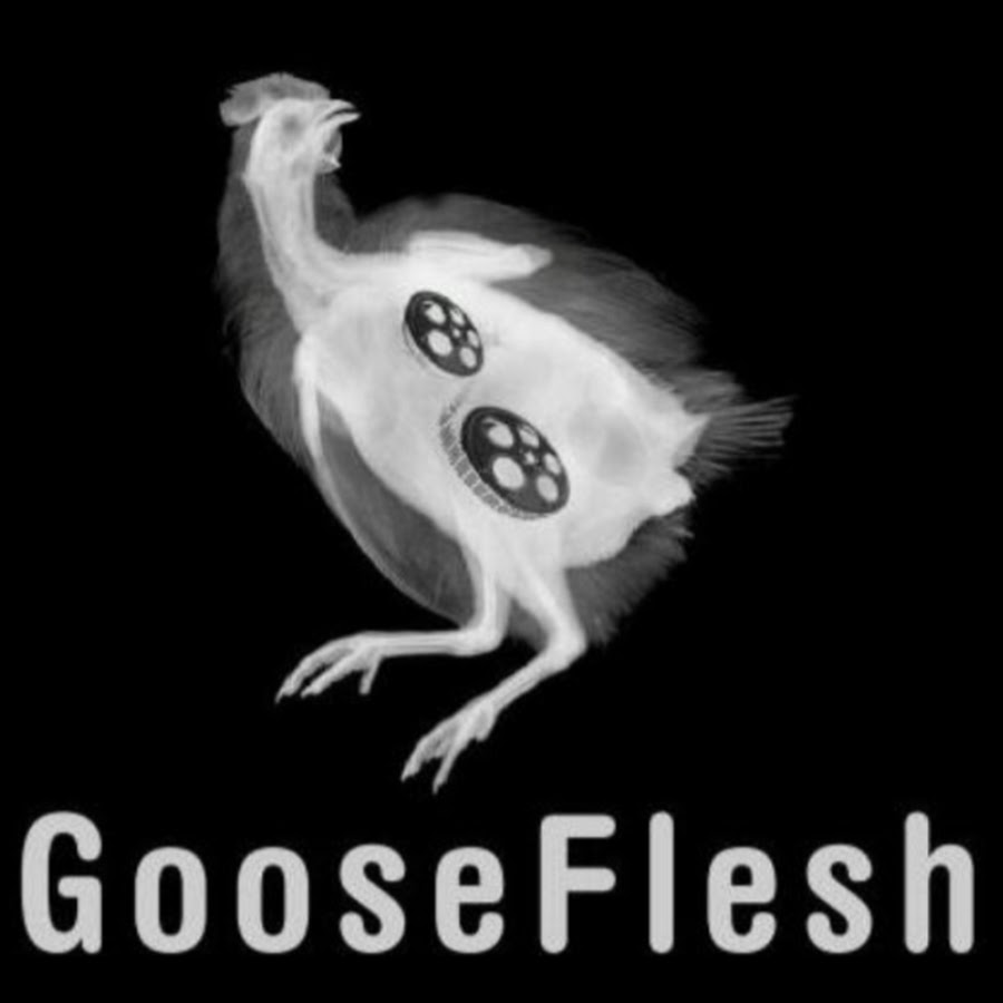 GooseFlesh Zaragoza - YouTube