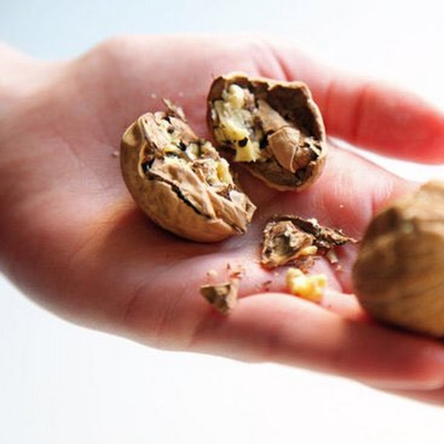 Busted Nut Productions - YouTube