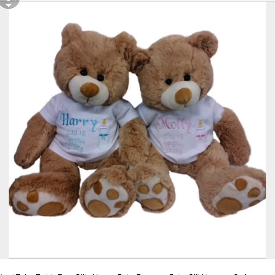 THE TEDDY BEAR TWINS - YouTube