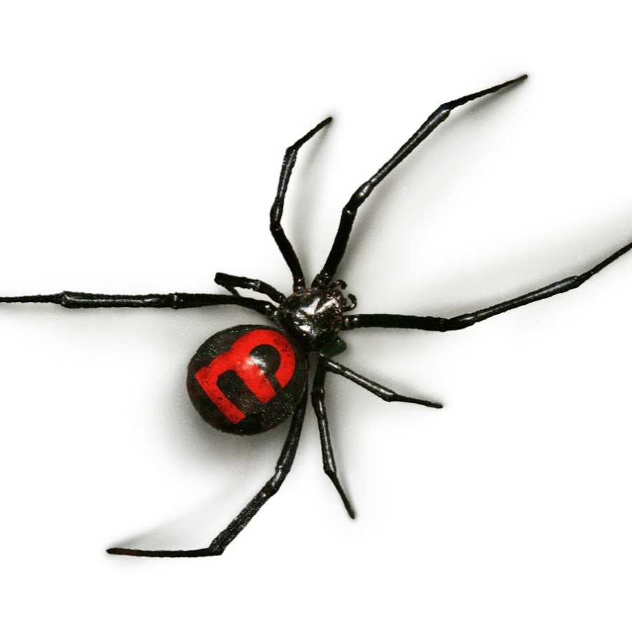 Brain Spiders - YouTube