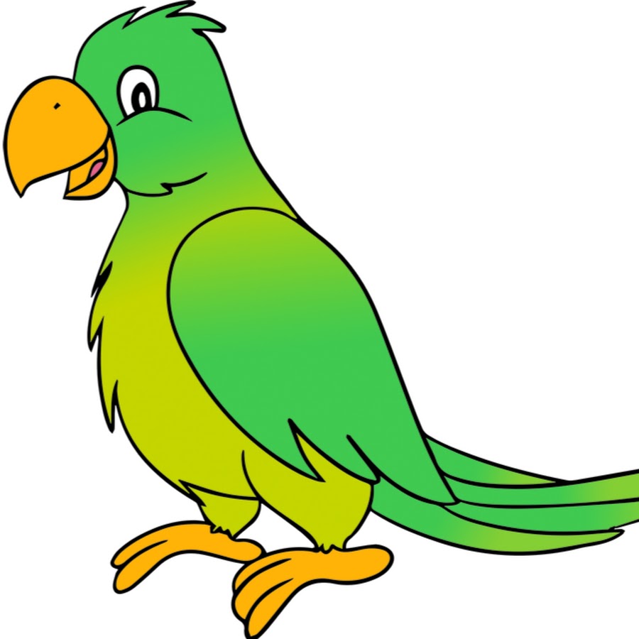 Happy Parrot Cartoons - YouTube