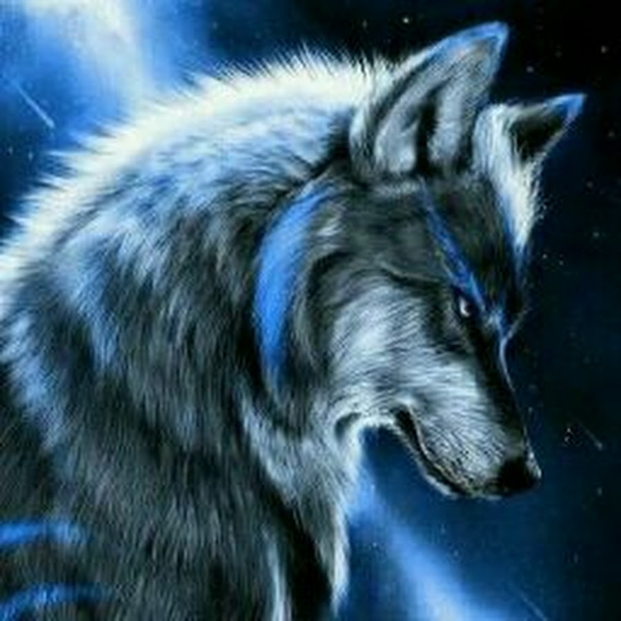 lobo azul - YouTube