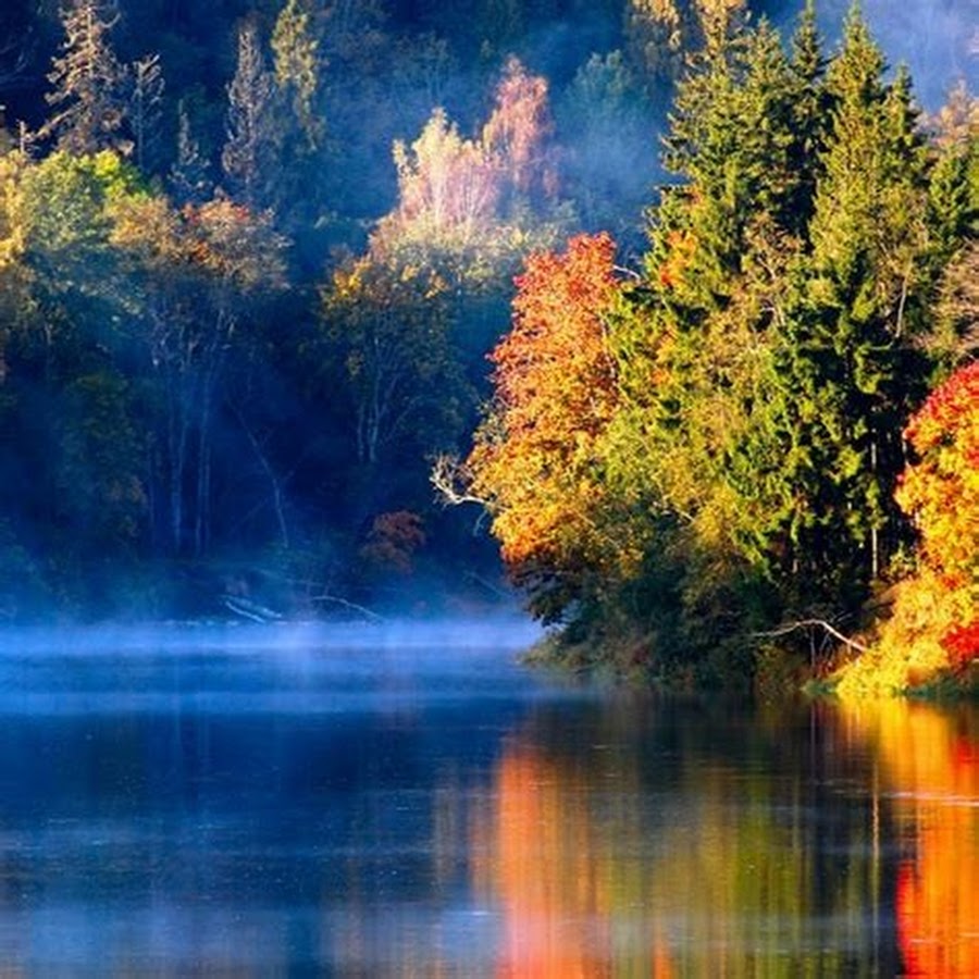 The Great Stave - YouTube