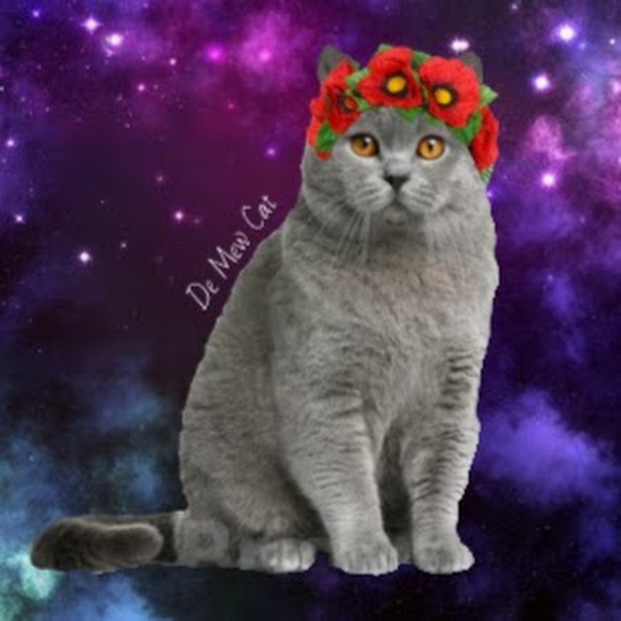 De Mew Cat - YouTube