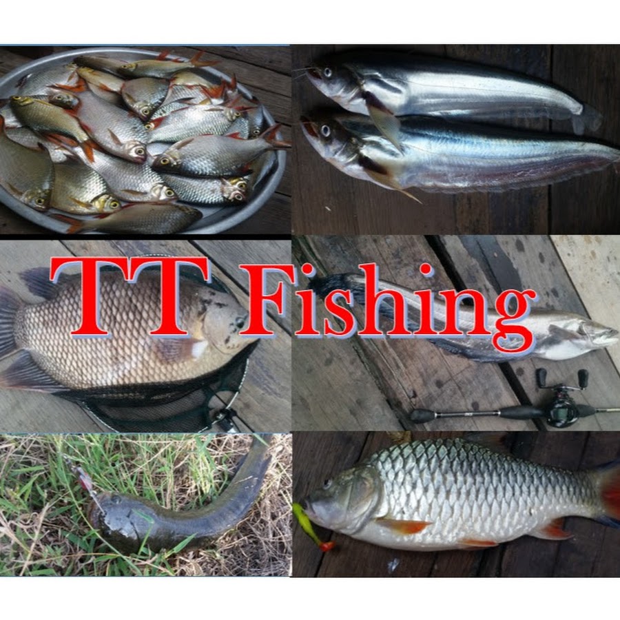 TT Fishing - YouTube