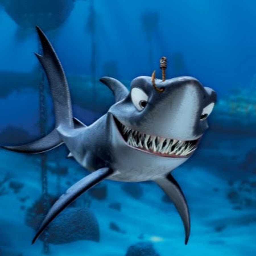 Sharky - YouTube