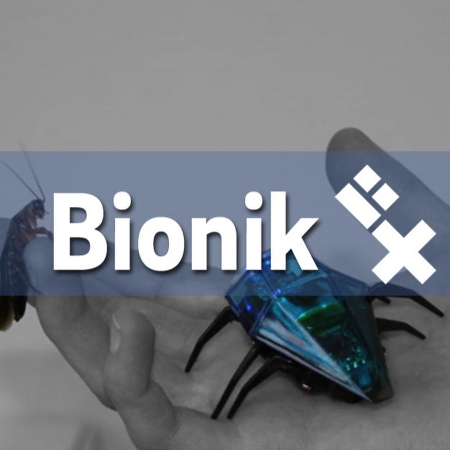 Studienprogramm Bionik - HS Bremen - YouTube