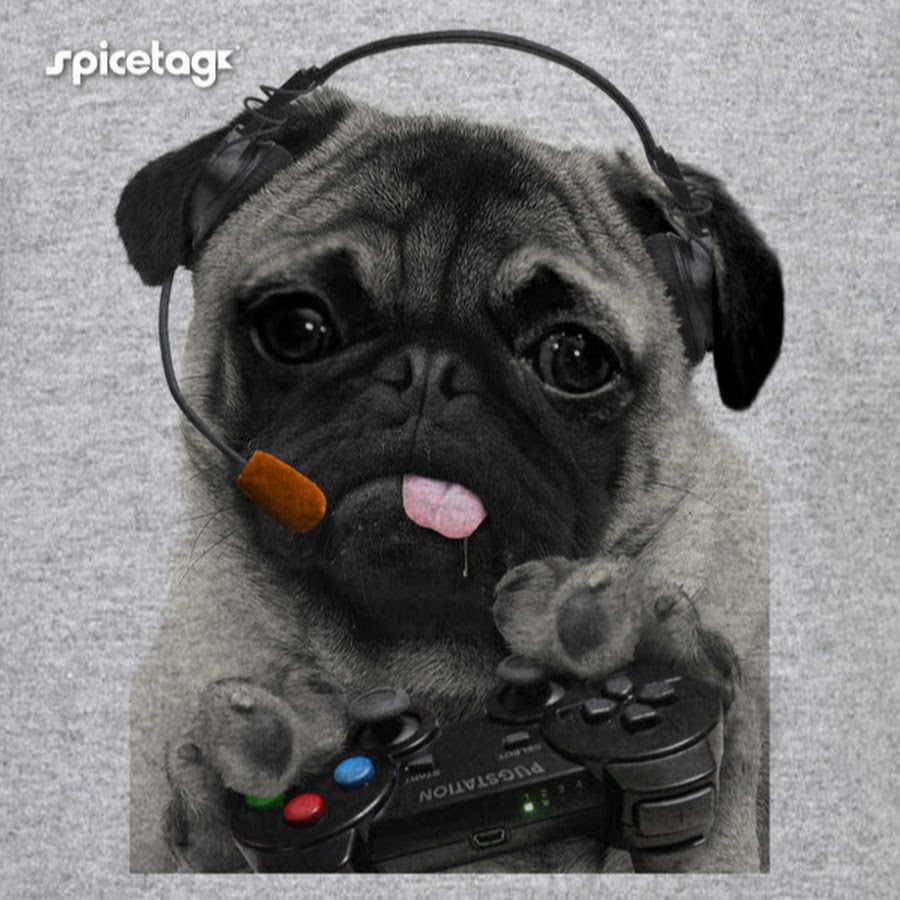Pug Gamer - YouTube