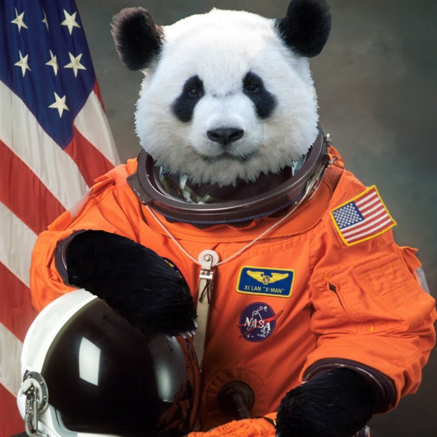space pandas - YouTube