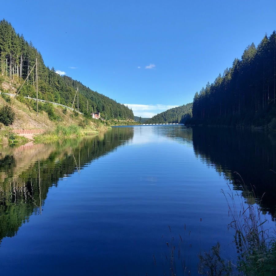 Enjoy Live Music - YouTube