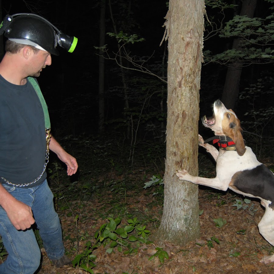 Coon Hunting TV - YouTube
