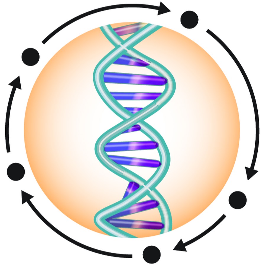 BioCyc and Pathway Tools - YouTube