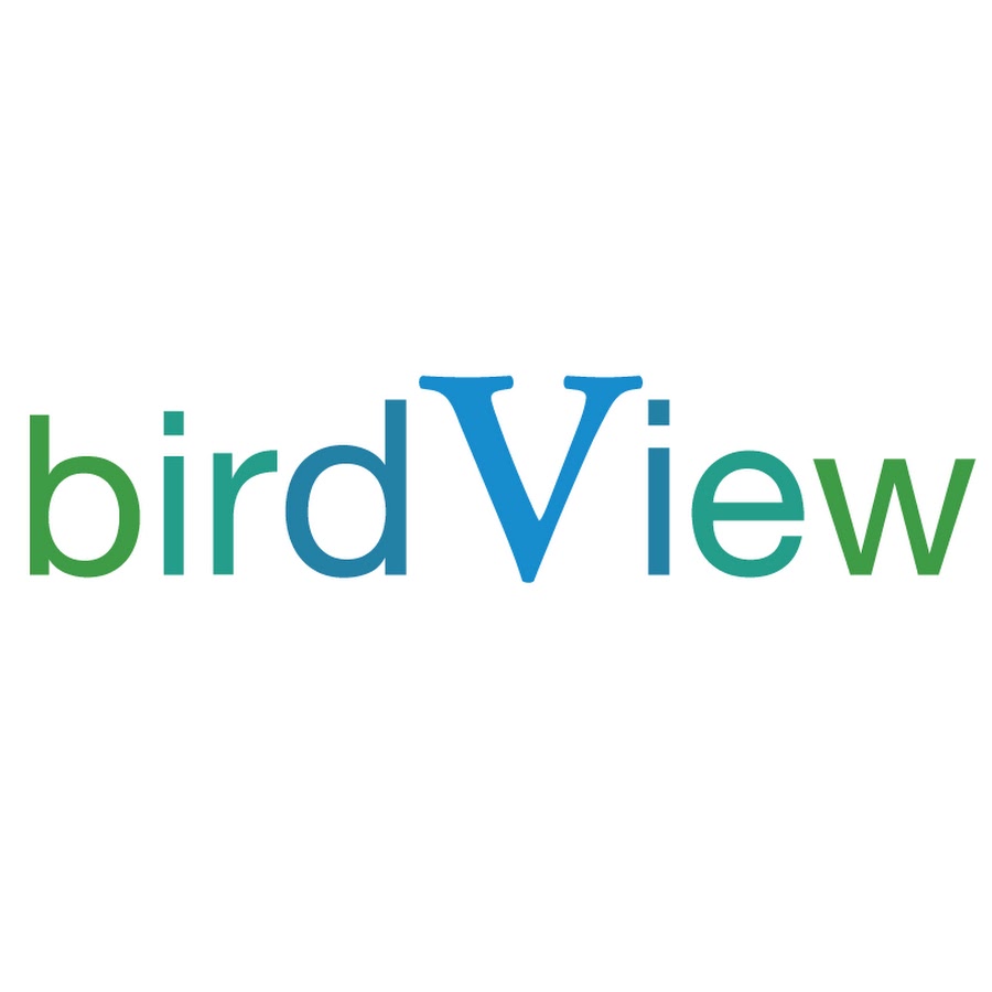 BirdView - YouTube