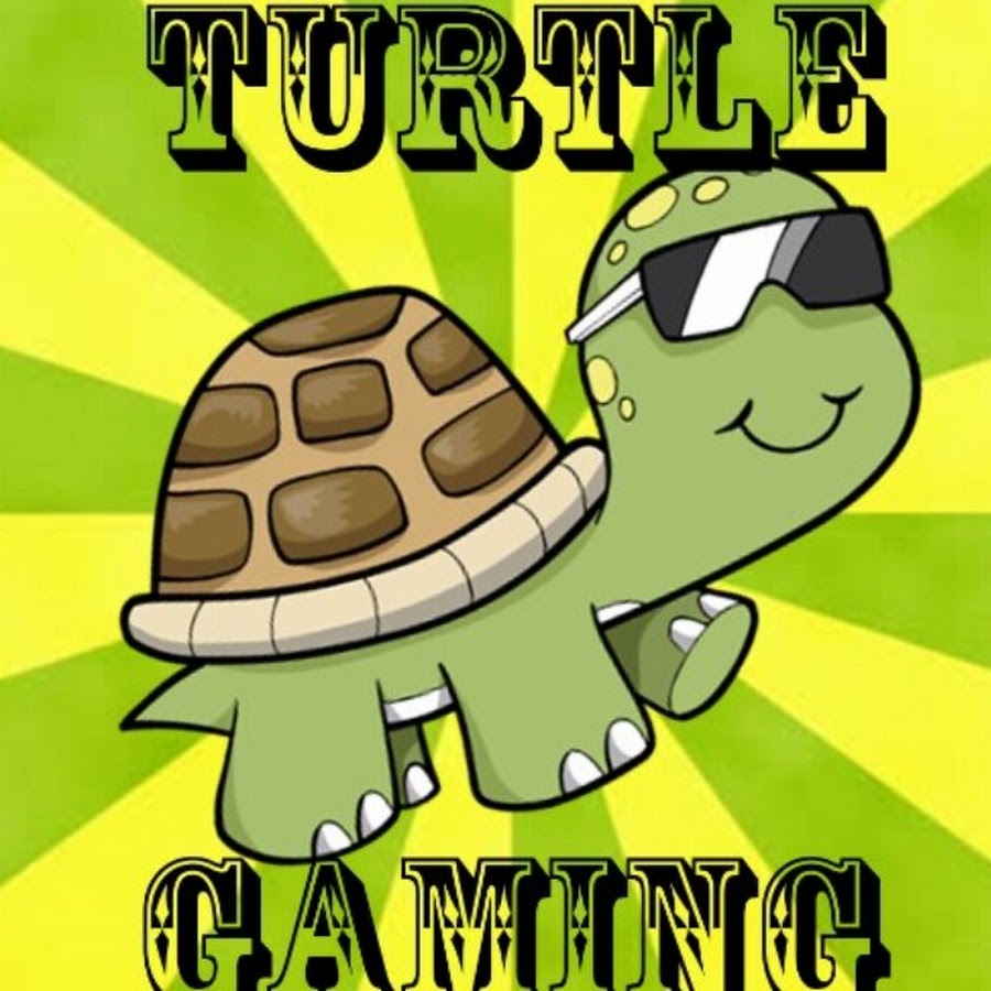 Turtle Gamer - YouTube