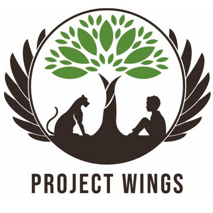 Project Wings - YouTube