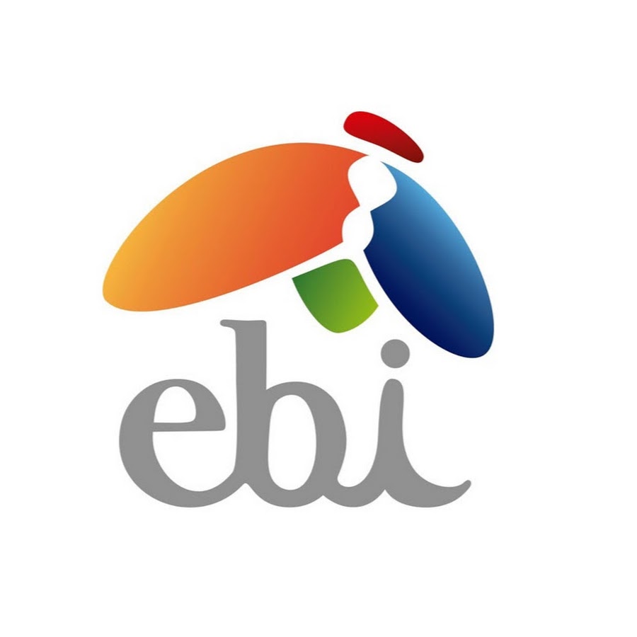 Proyecto EBI - YouTube