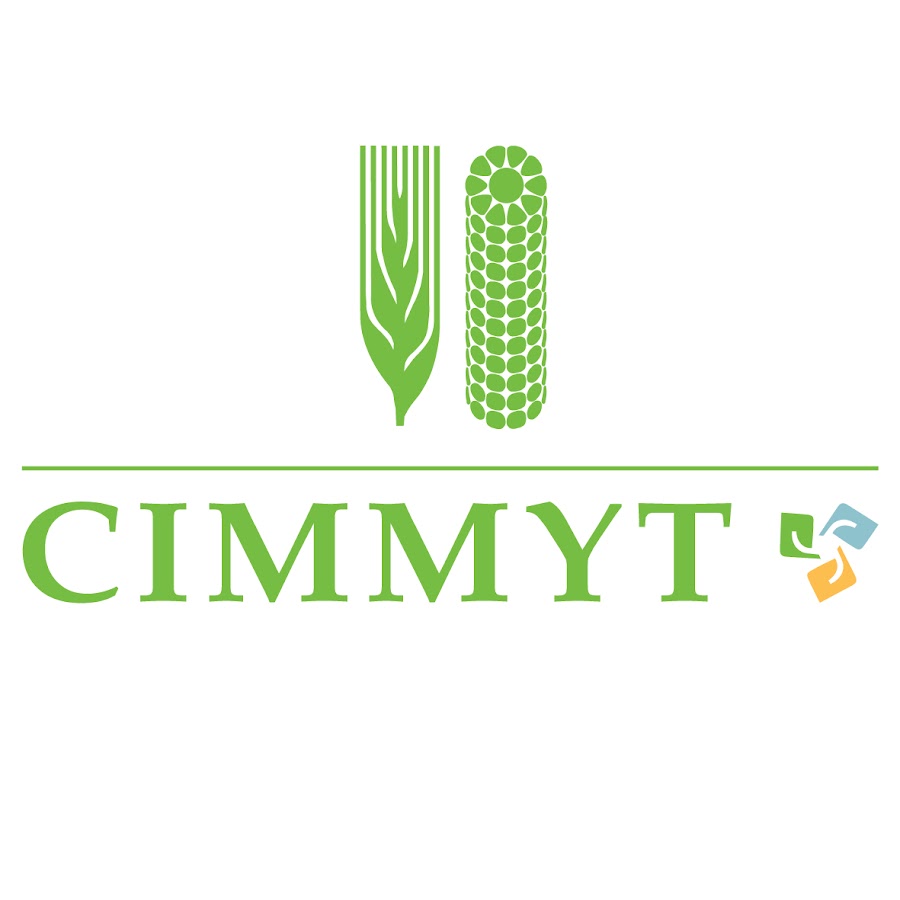 CIMMYT WebCasts - YouTube