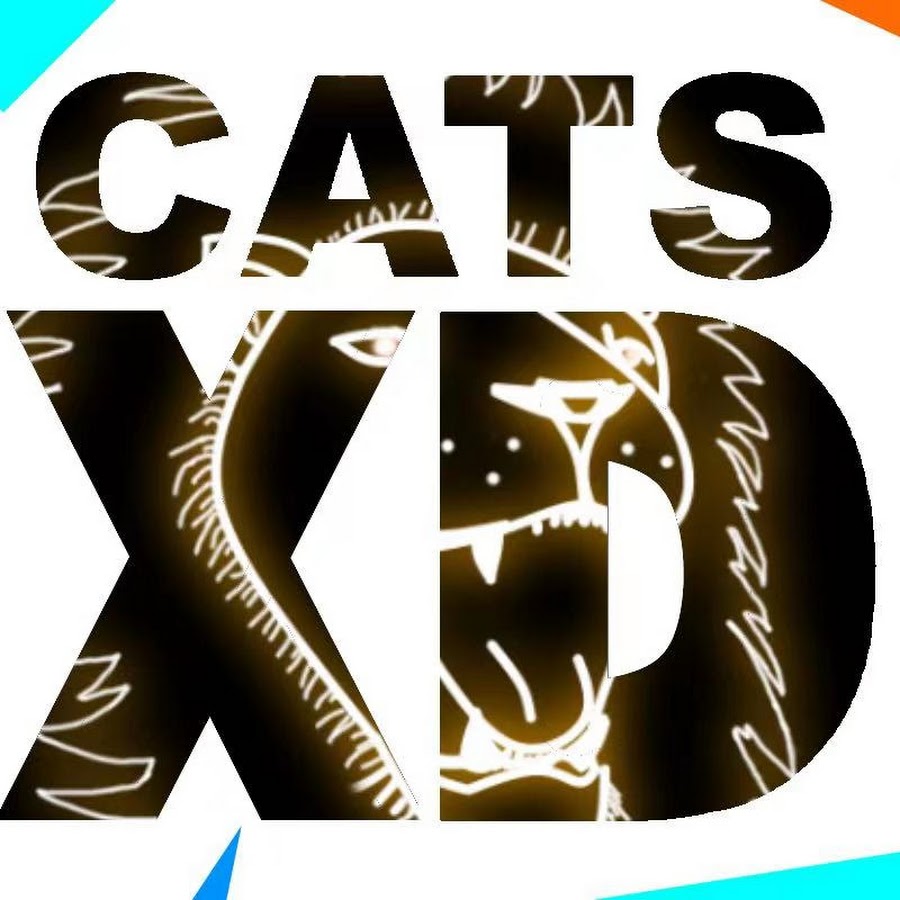 CATS XD - YouTube