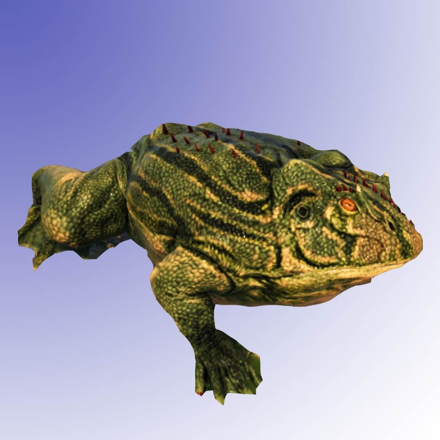 Fat Frog's Swamp - YouTube