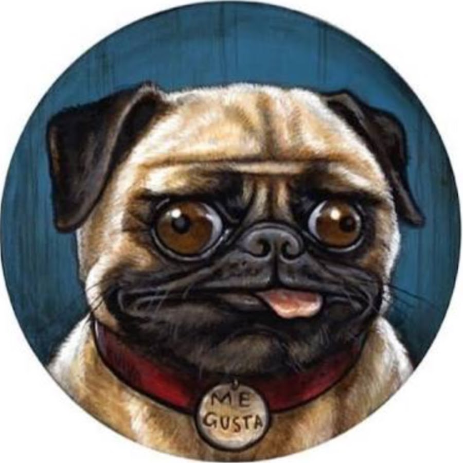 Derpy Pug - YouTube