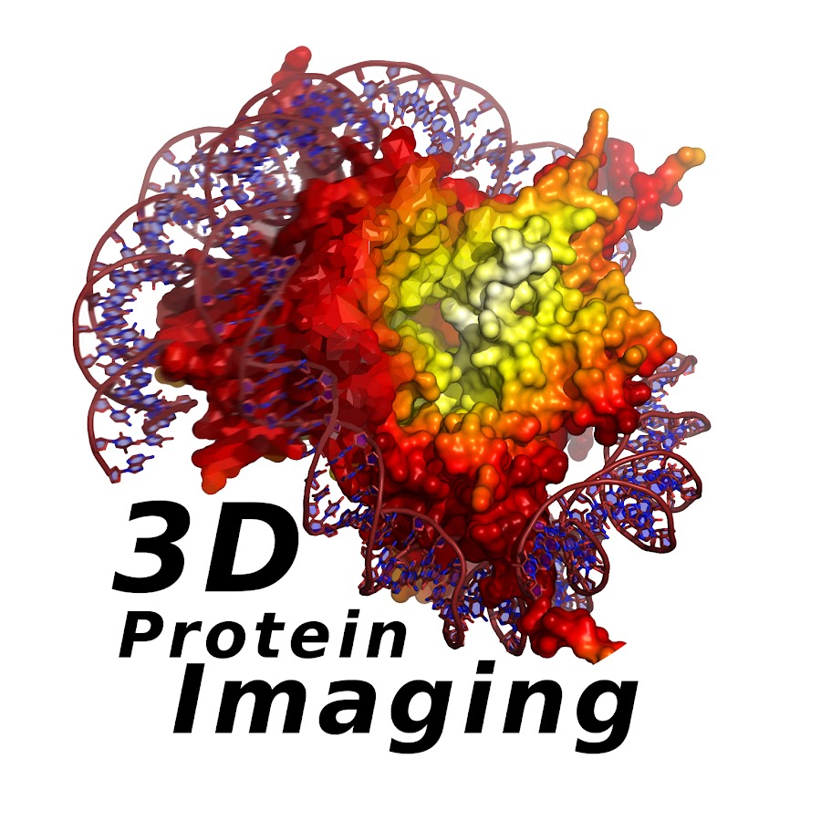 3D Protein Imaging - YouTube