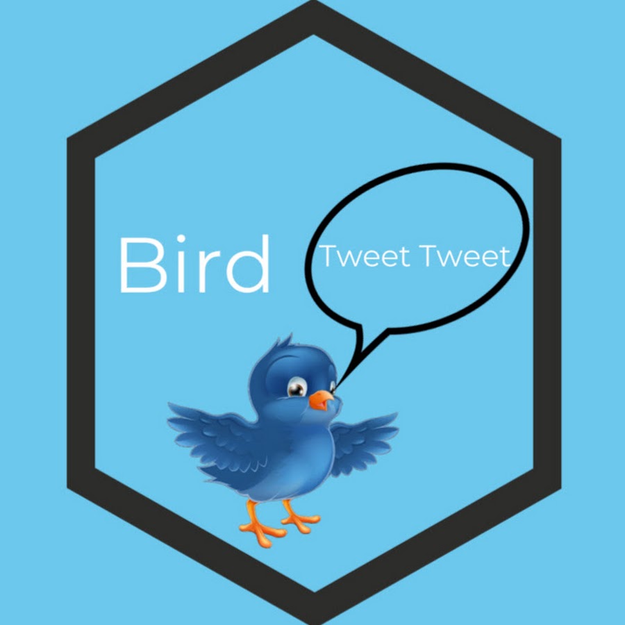 Bird Tweet Tweet - YouTube
