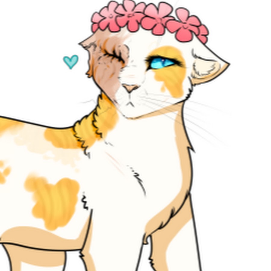 Brightheart the warrior cat - YouTube