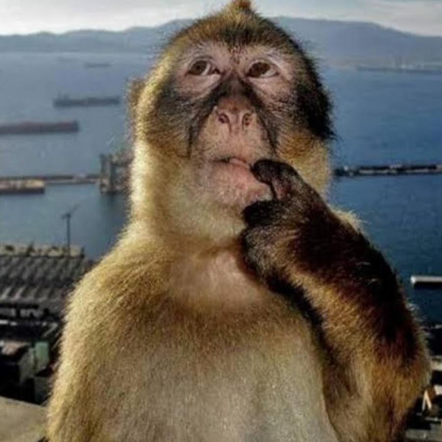 6969 subs with 6 videos - YouTube