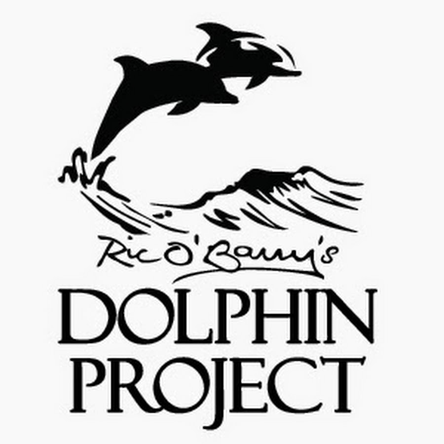 Dolphin Project - YouTube