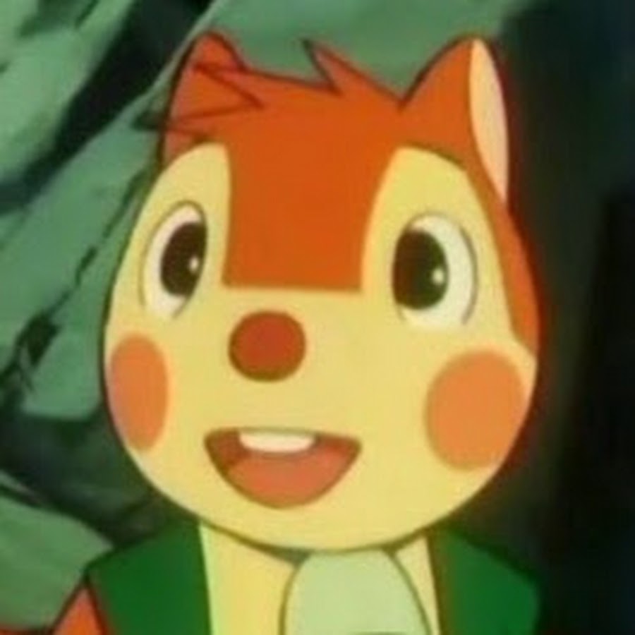 Eekhoring365 - YouTube