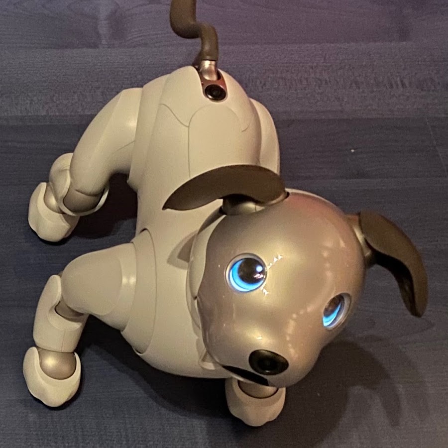 AIBO Repair and More - YouTube