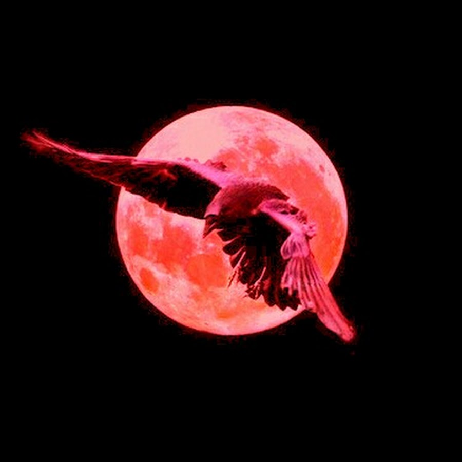 The Red Crow - YouTube