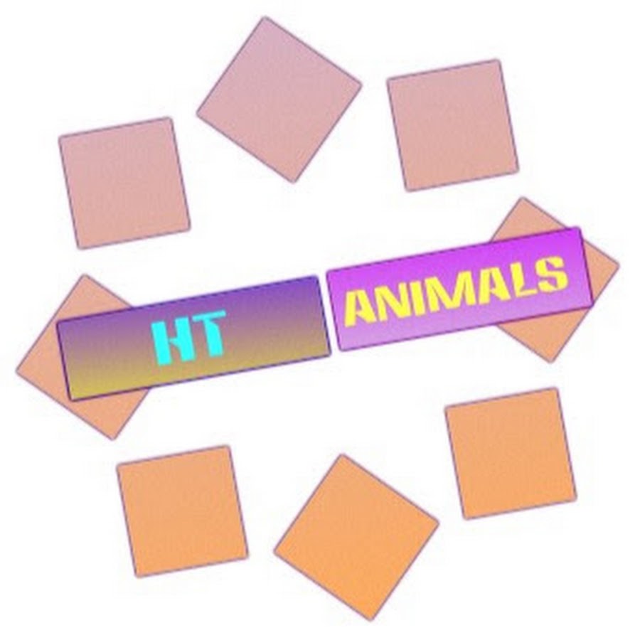 HT Animals - YouTube