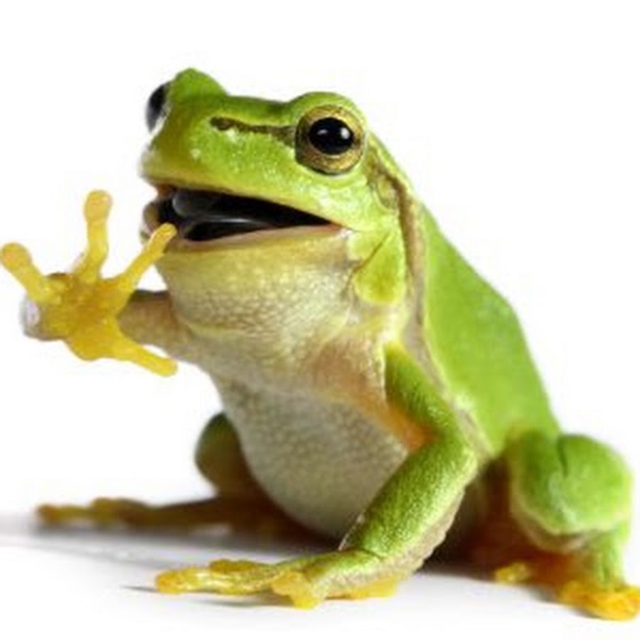 qwertyuiop - YouTube