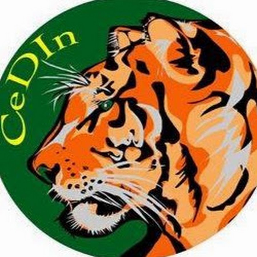 Fotografia Cedin - YouTube