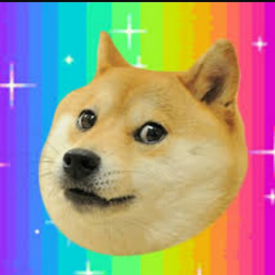 EPIC DOGE GAMING 675 - YouTube