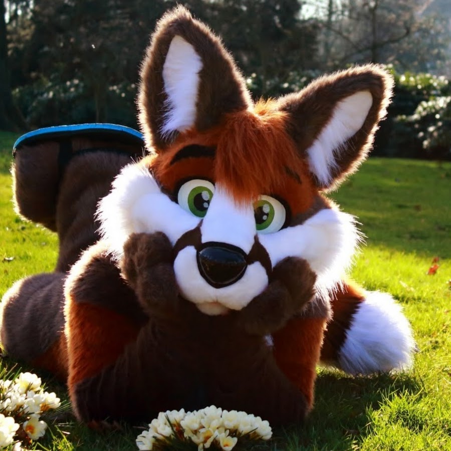 Leon the Fox - YouTube