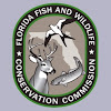 MyFWC Florida Fish and Wildlife - YouTube