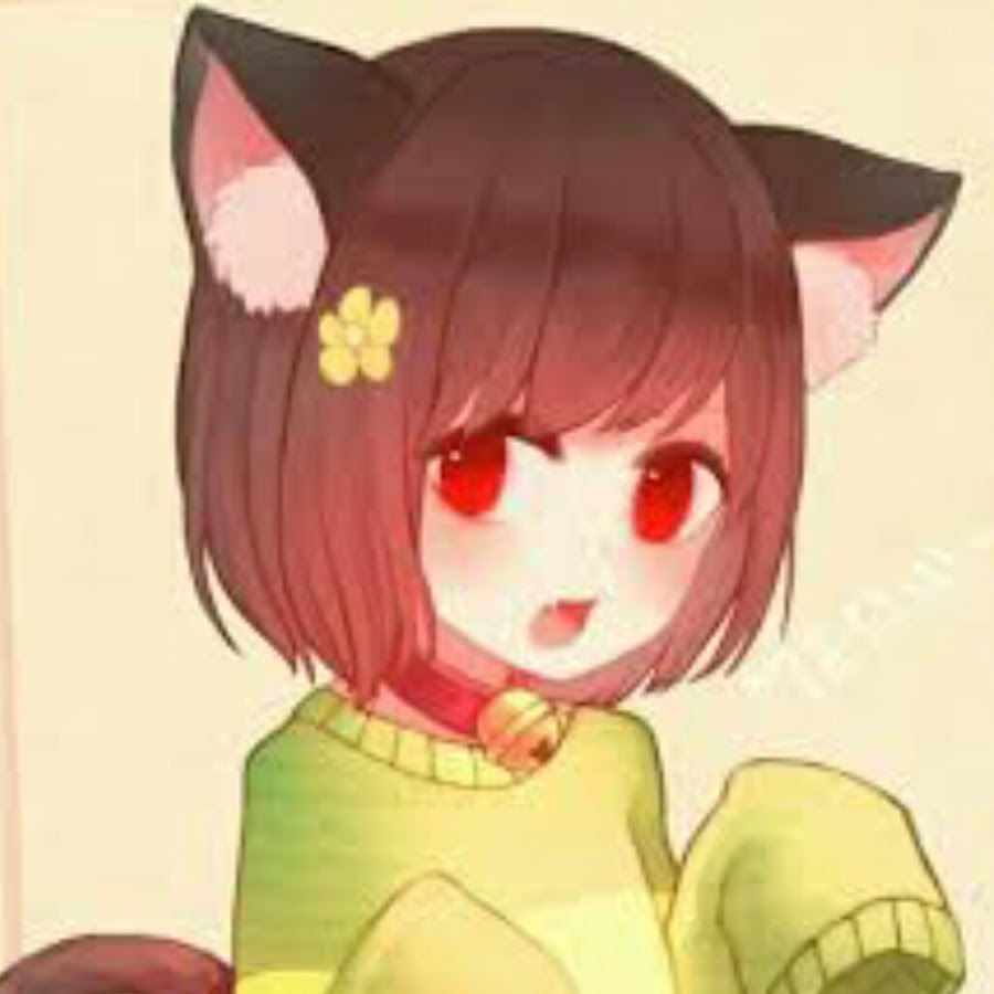 Chara cat - YouTube