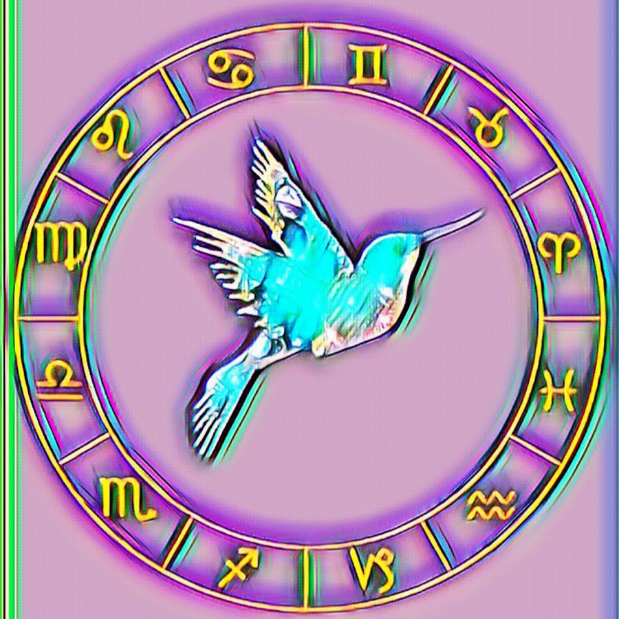 zodiac Bird - YouTube
