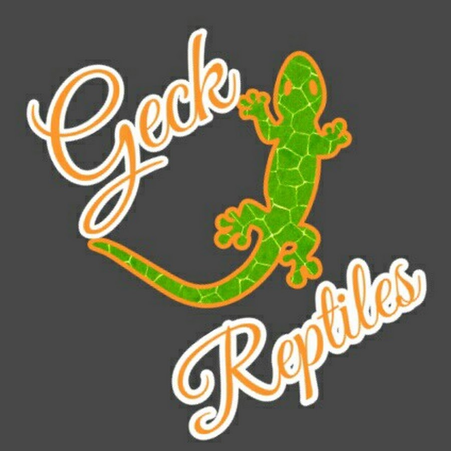 Geck Reptiles - YouTube