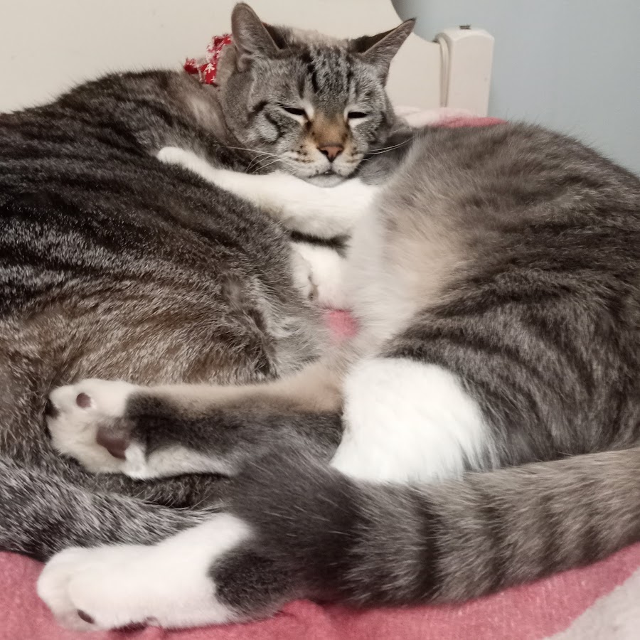 Kathy Bennett - YouTube