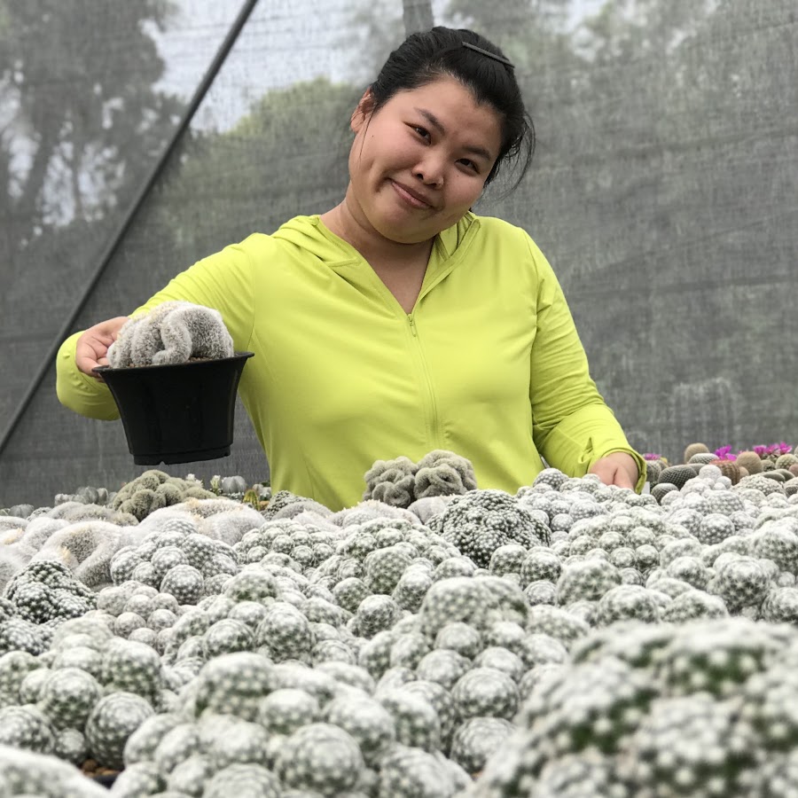 PB CACTUS channel - YouTube