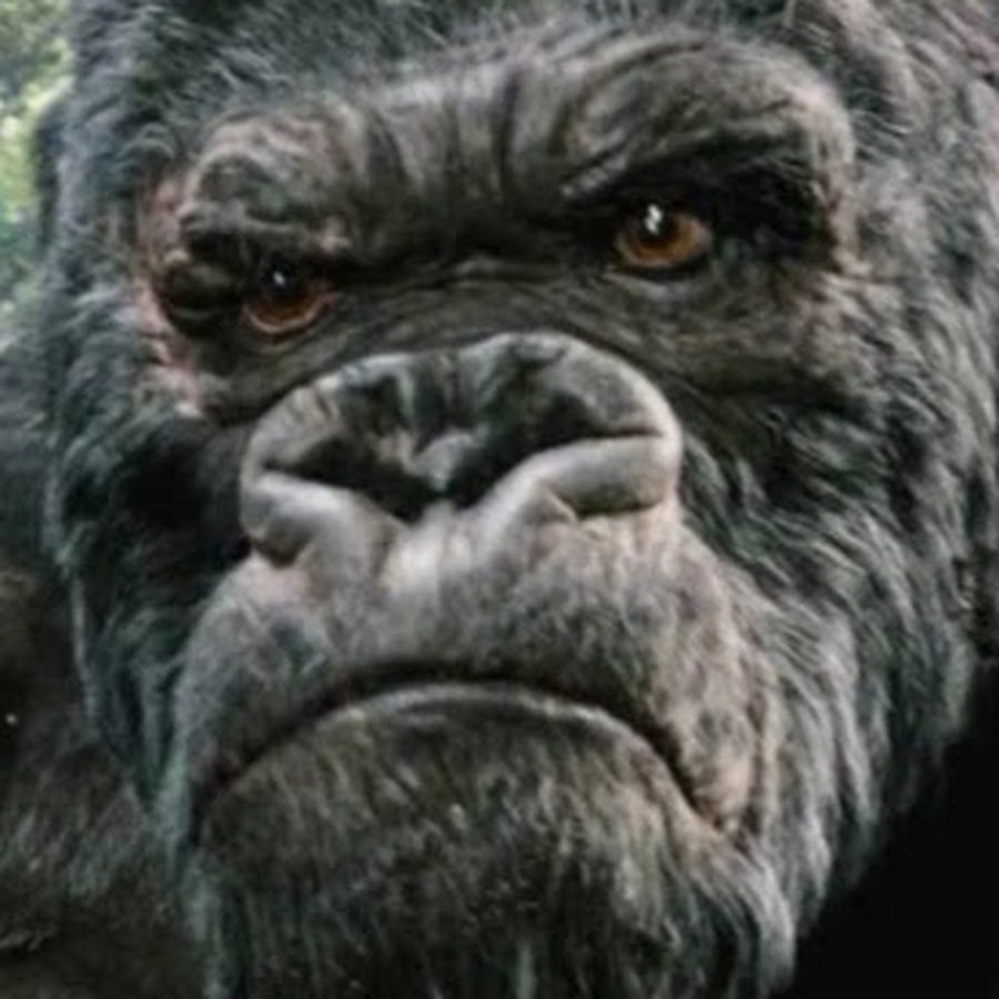 Ging Gong - Official - YouTube