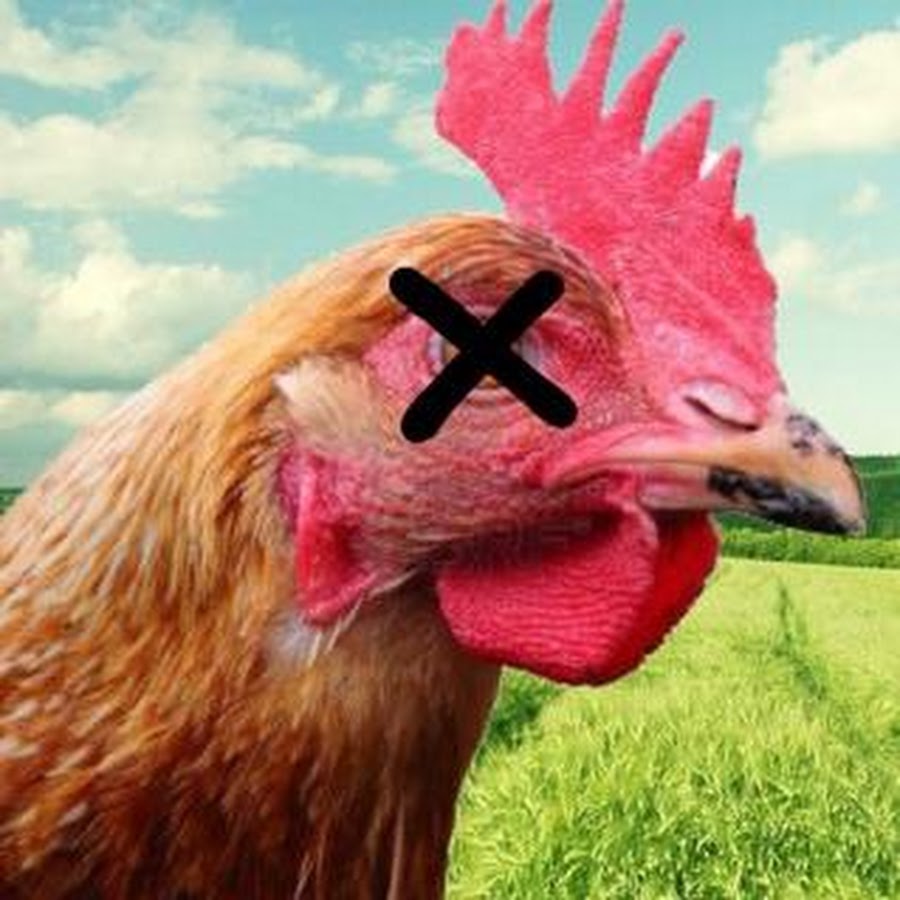 Satanic Chickens - YouTube